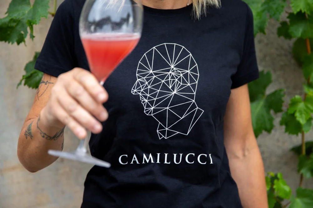 Wine Tourism in Franciacorta - Top Experiences and Itineraries